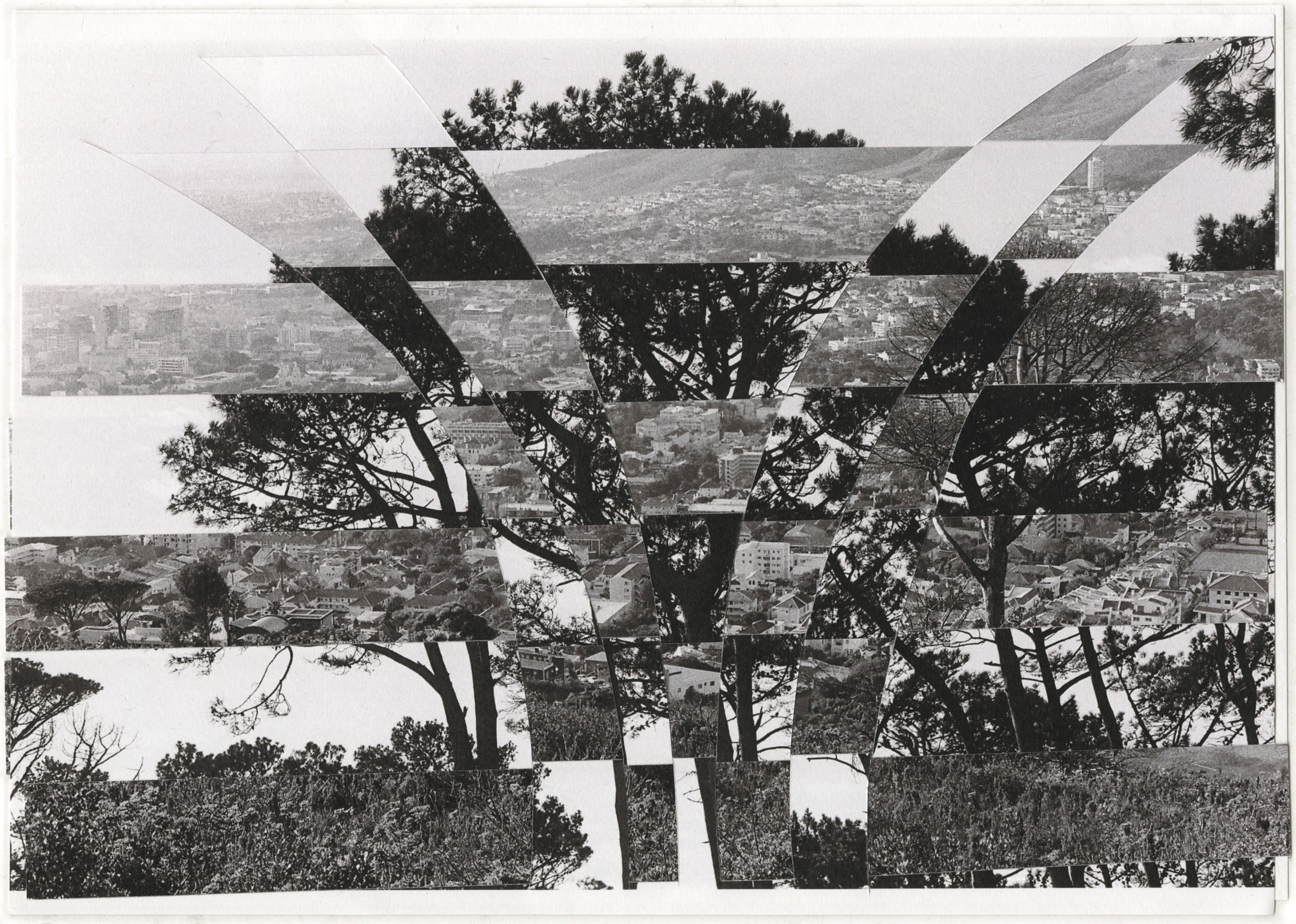 Pippa Hetherington | Lattice #14 – Bonne Espérance Gallery